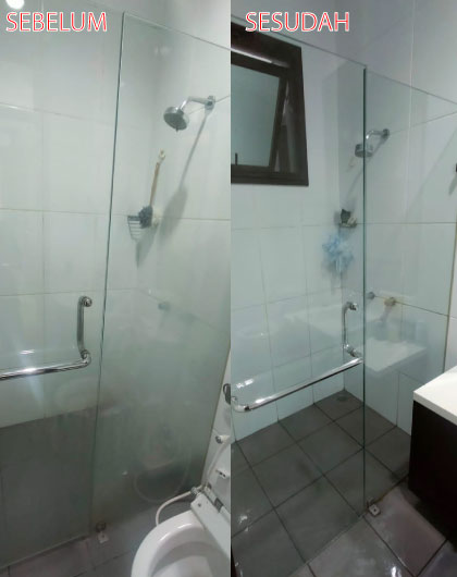 The Cleaner Indonesia