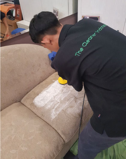 The Cleaner Indonesia